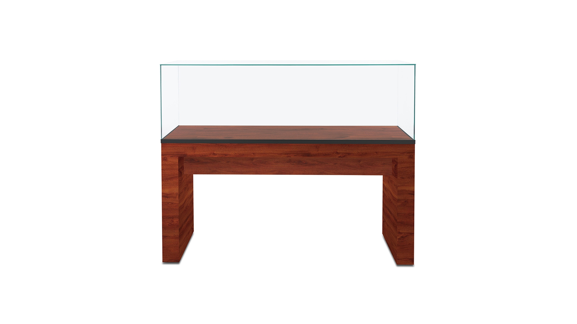 Museum Display Cases | Tecno Display